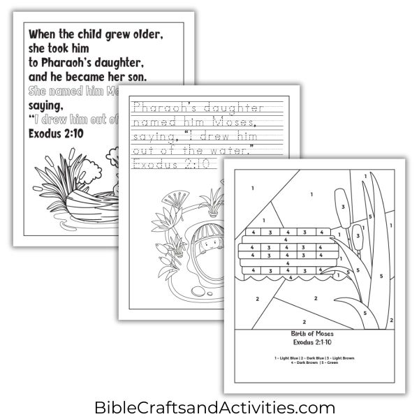 Birth of Moses Activity Pages - Bible Crafts Shop